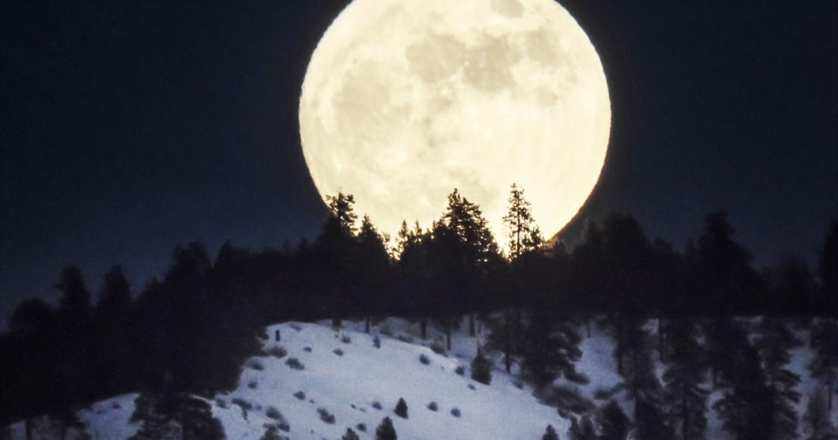 La lune qui se givre et la loi naturelle : Marcher doucement | MCDP